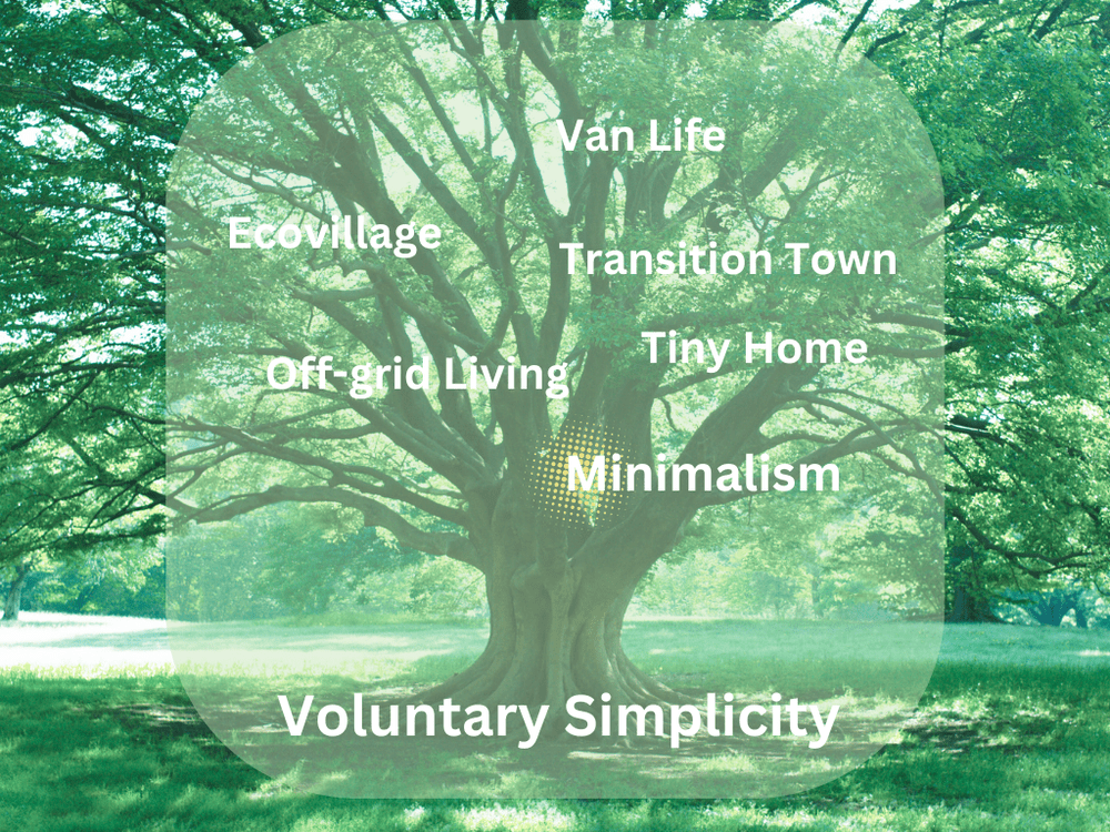 Defining Minimalism: Purpose, Simplicity, and Real-Life Challenges ...