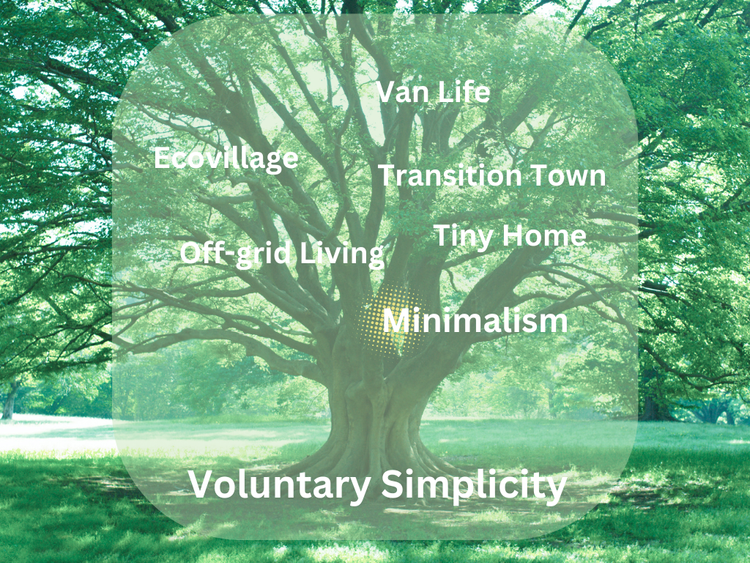 Defining Minimalism: Purpose, Simplicity, and Real-Life Challenges ...