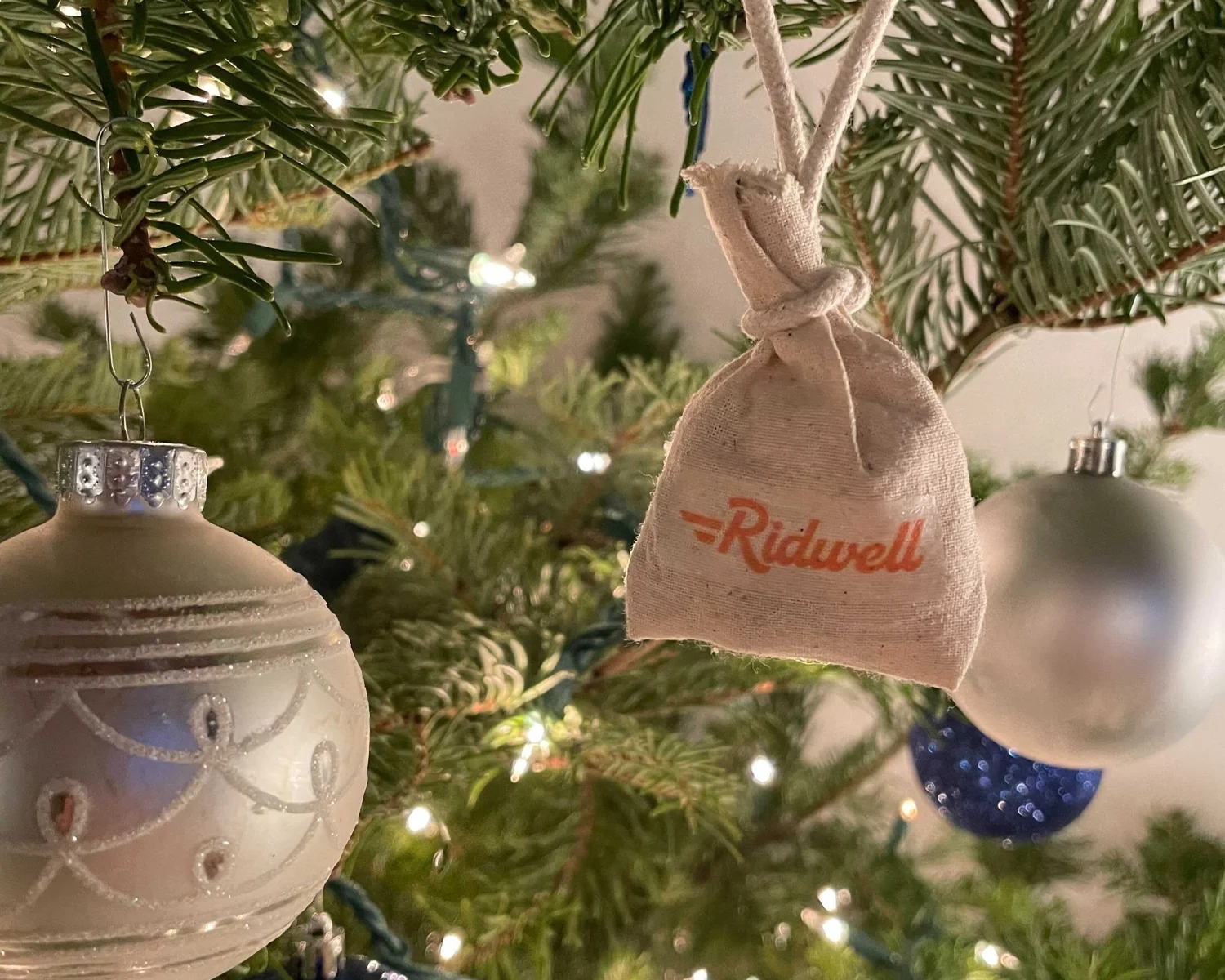 Holiday cheer that makes waste disappear — Ridwell