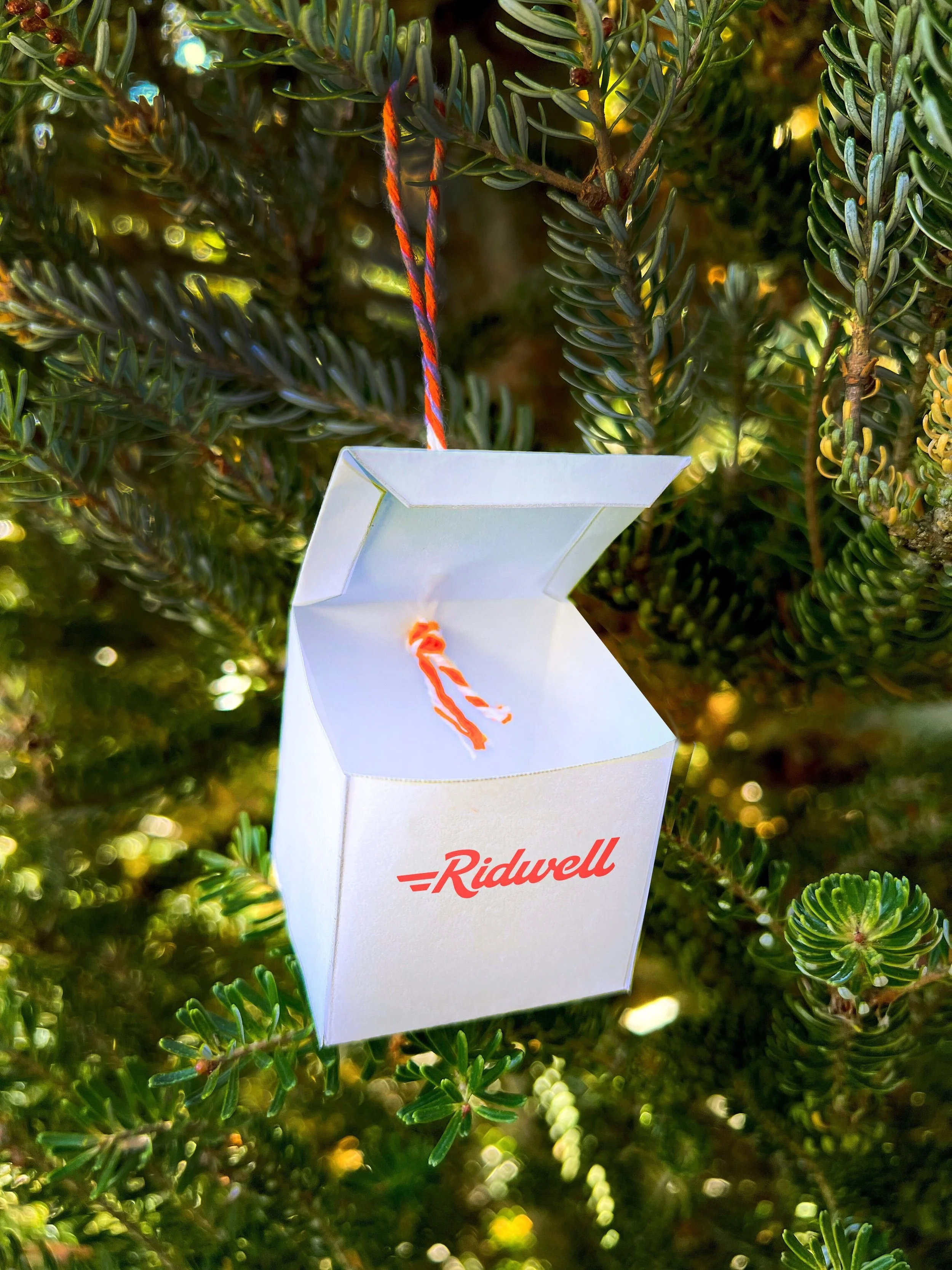 Printable Mini Bin! — Ridwell