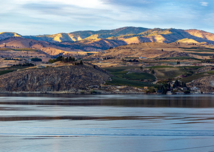 Journal — Goldie's