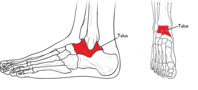 This Is Your Perfect Heel Height — The Most Comfortable Heels