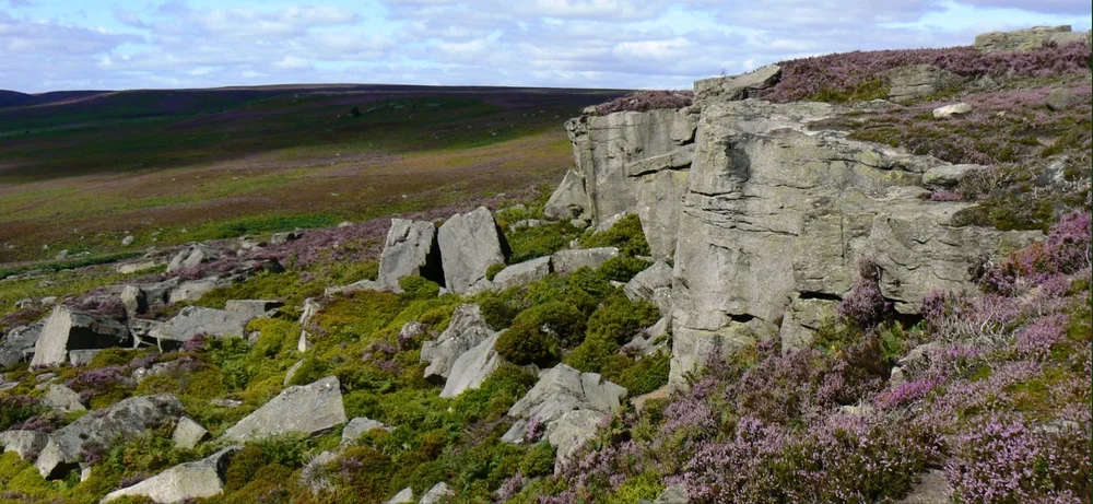 Anna Fleming — Geology Bites