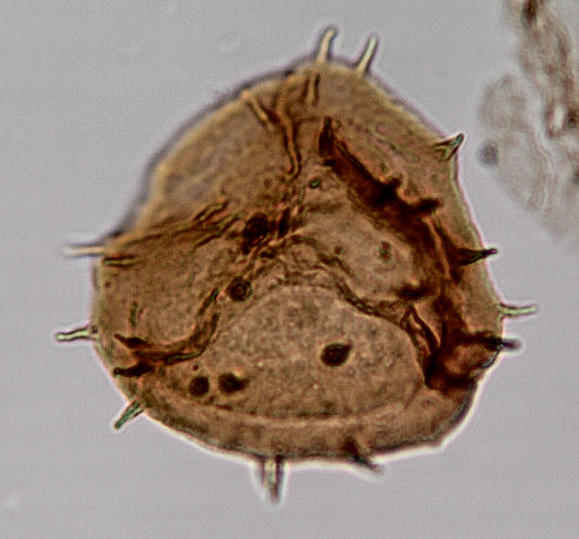 John Marshall — Geology Bites