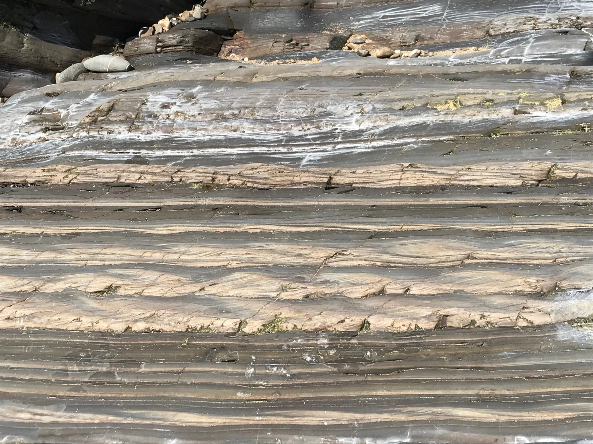 Bruce Levell — Geology Bites