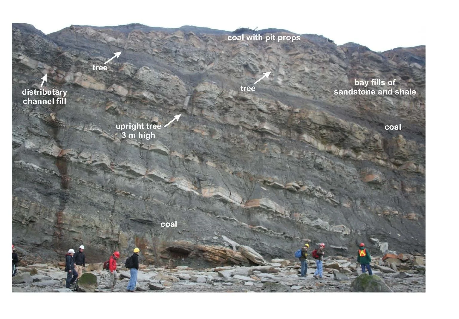 Martin Gibling — Geology Bites