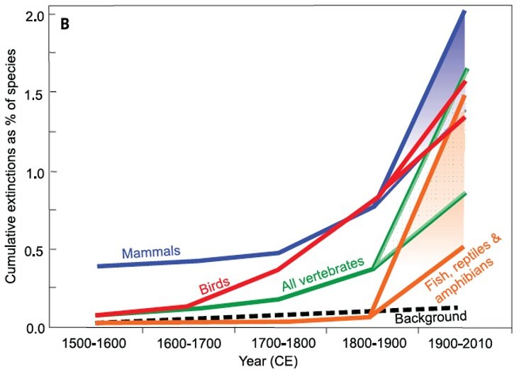 Phil Gibbard — Geology Bites