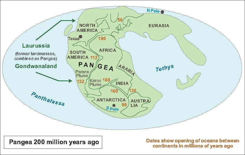 Martin Gibling — Geology Bites