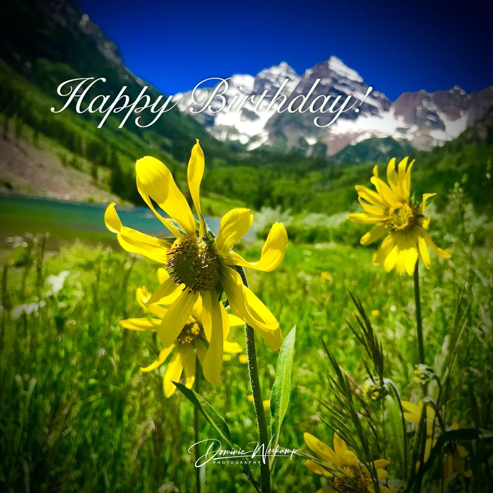 Wild Flowers Happy Birthday Images | Best Flower Site