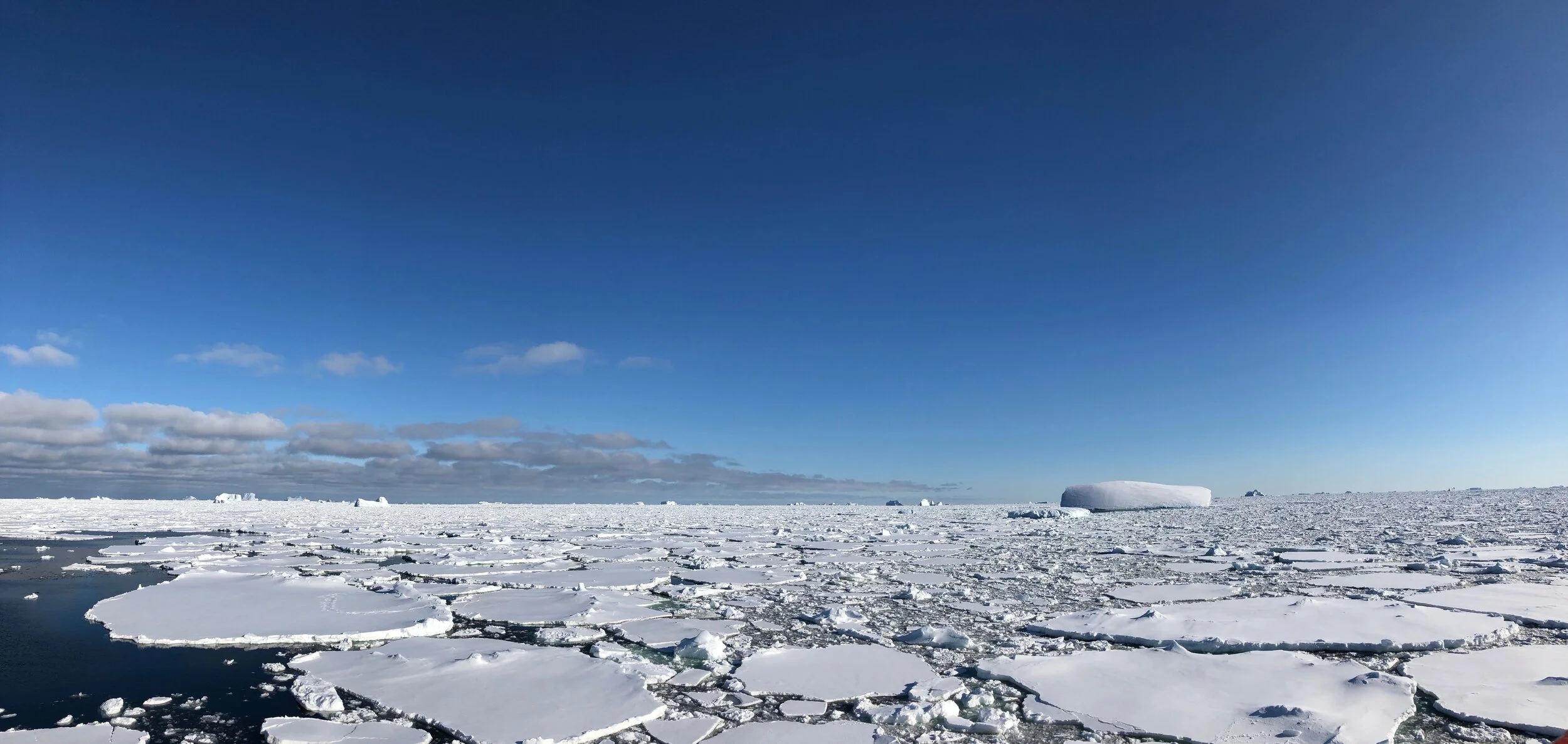 Field Flag — Polar Impact