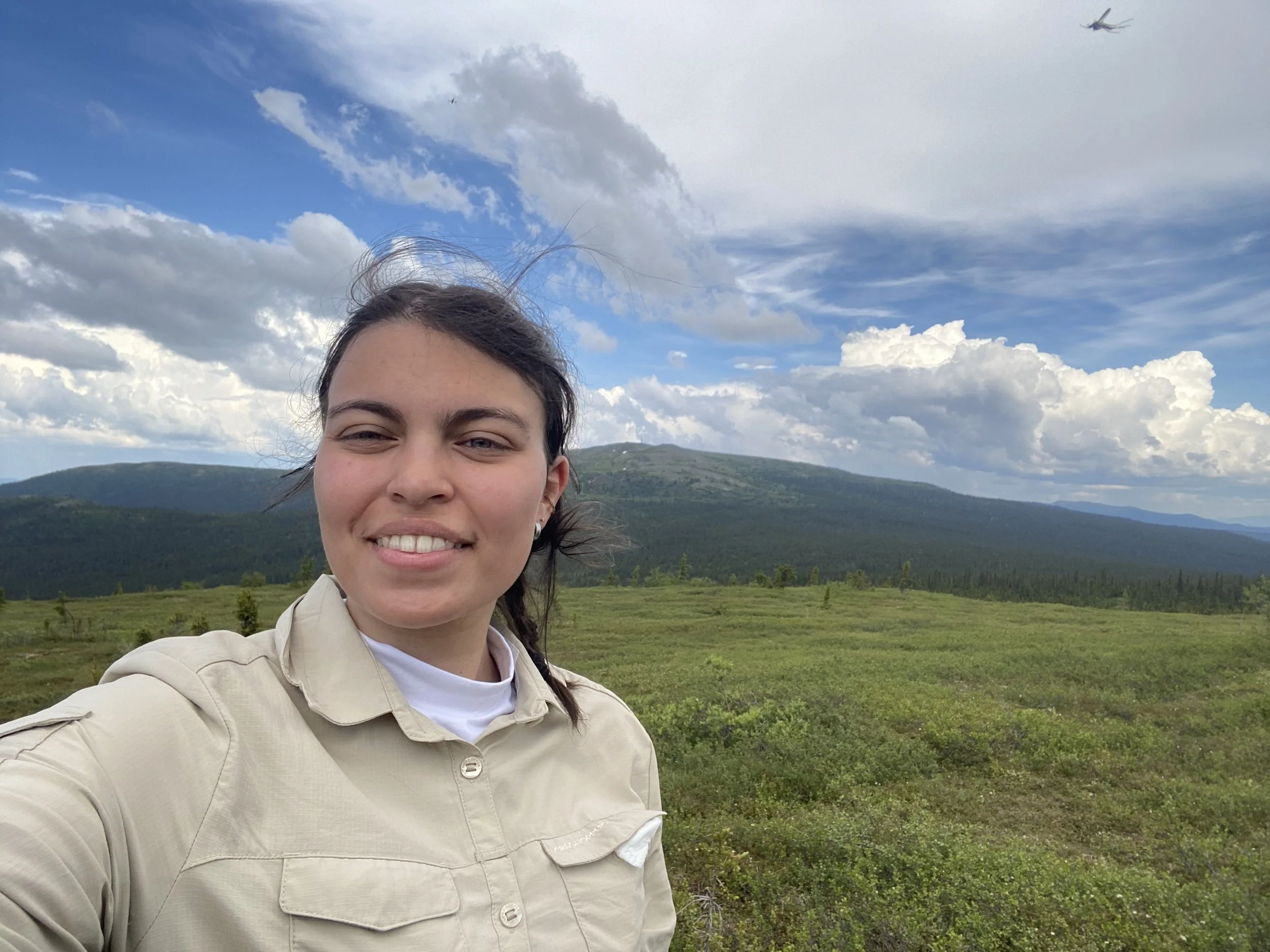 I’m Millicent Harding! — Polar Impact