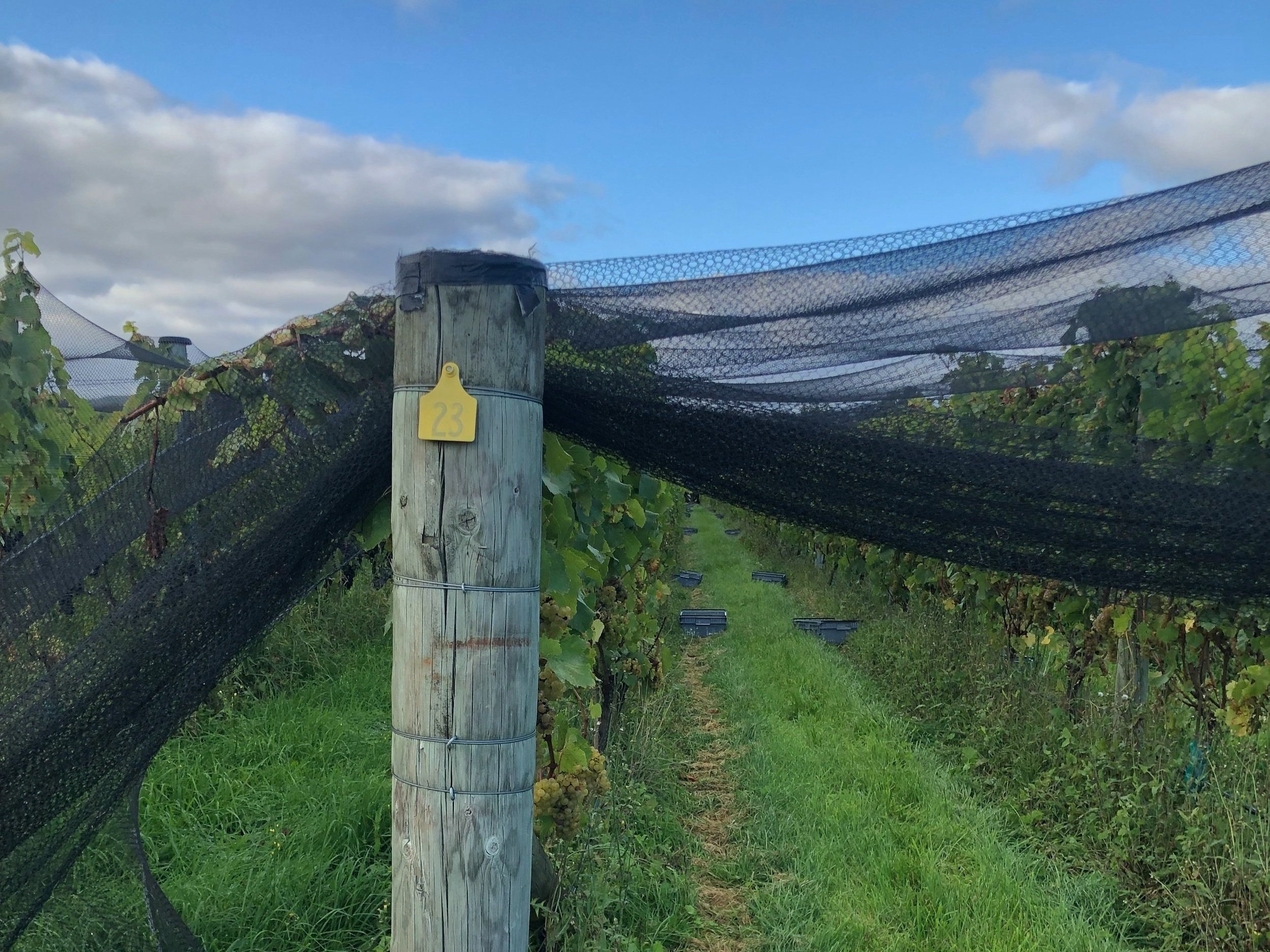 Equilibrium Makers Martinborough Wines