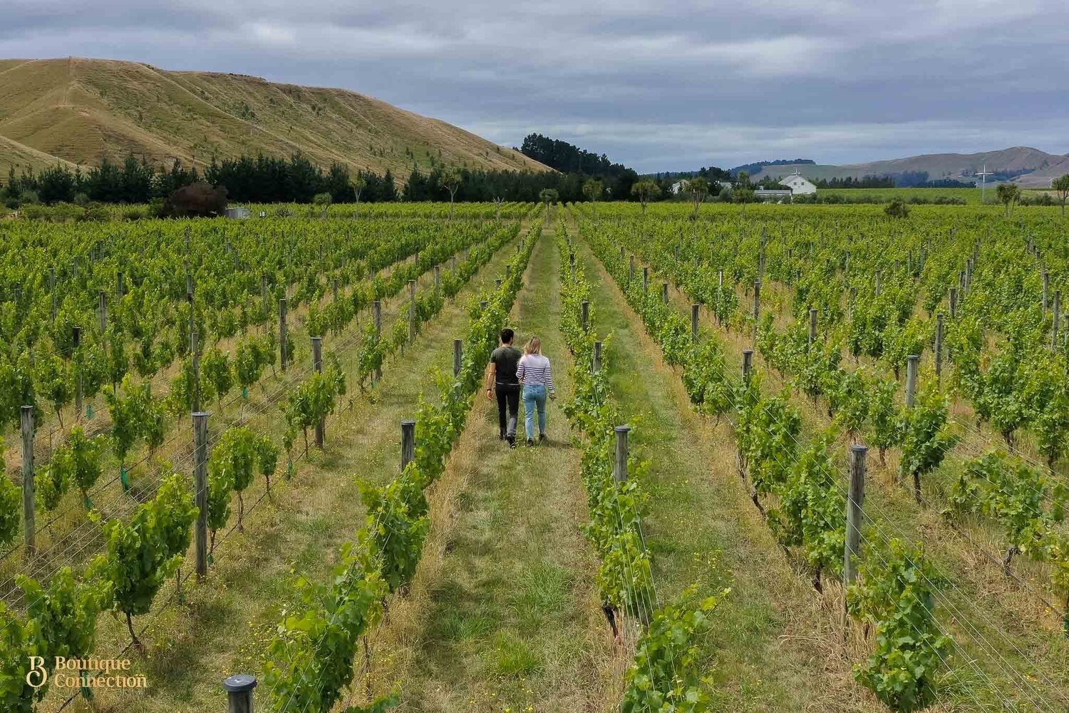 Equilibrium Makers Martinborough Wines
