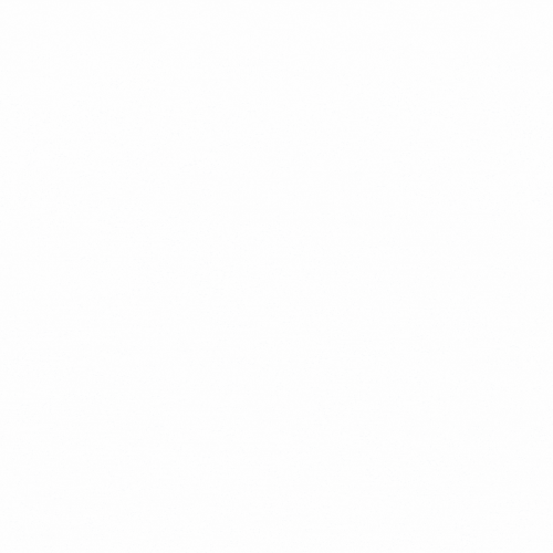 5 Tips to Avoid the Senior Slump — College Solutions