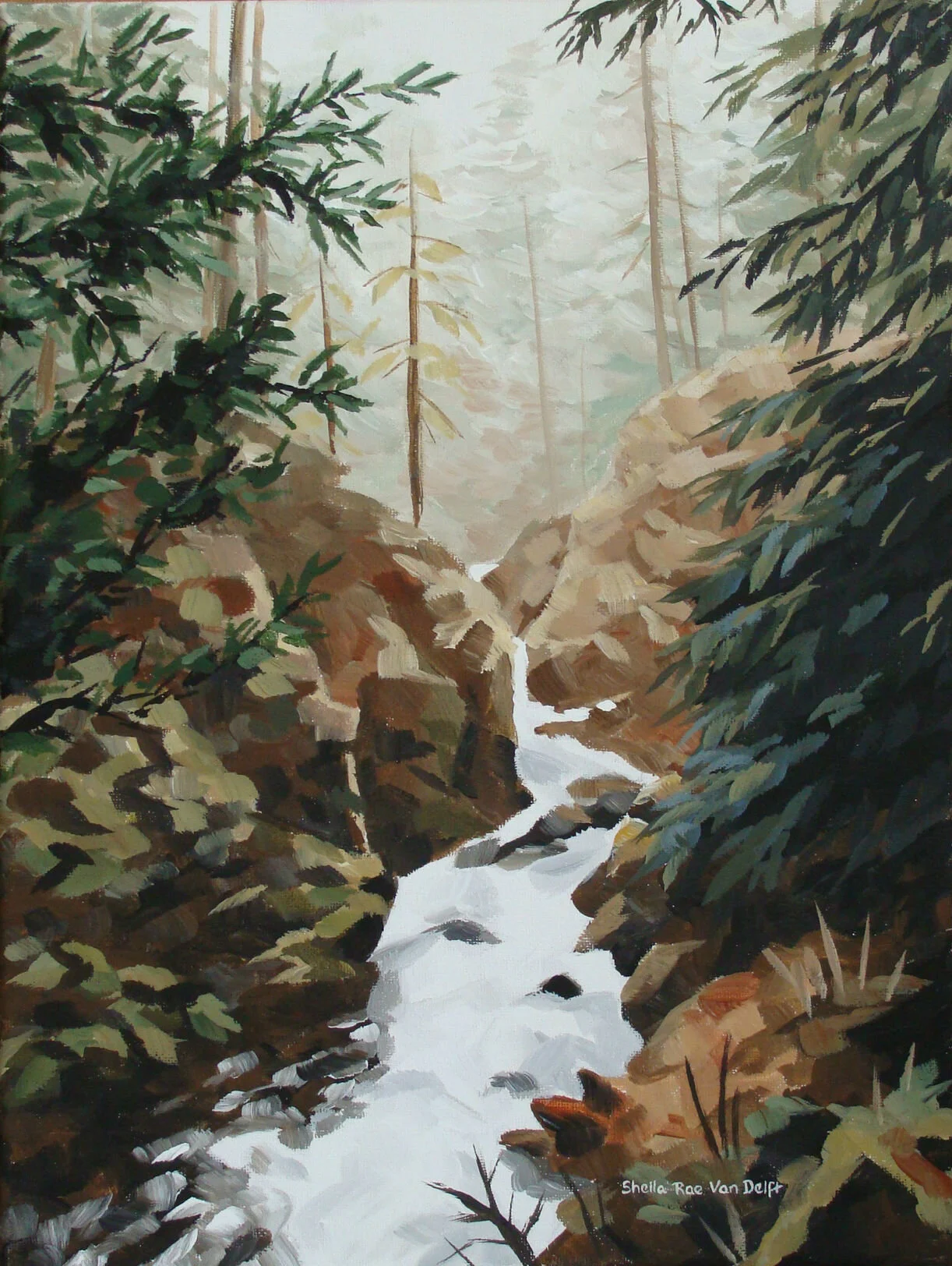 COLLECTIONS — Sheila Rae Van Delft Art