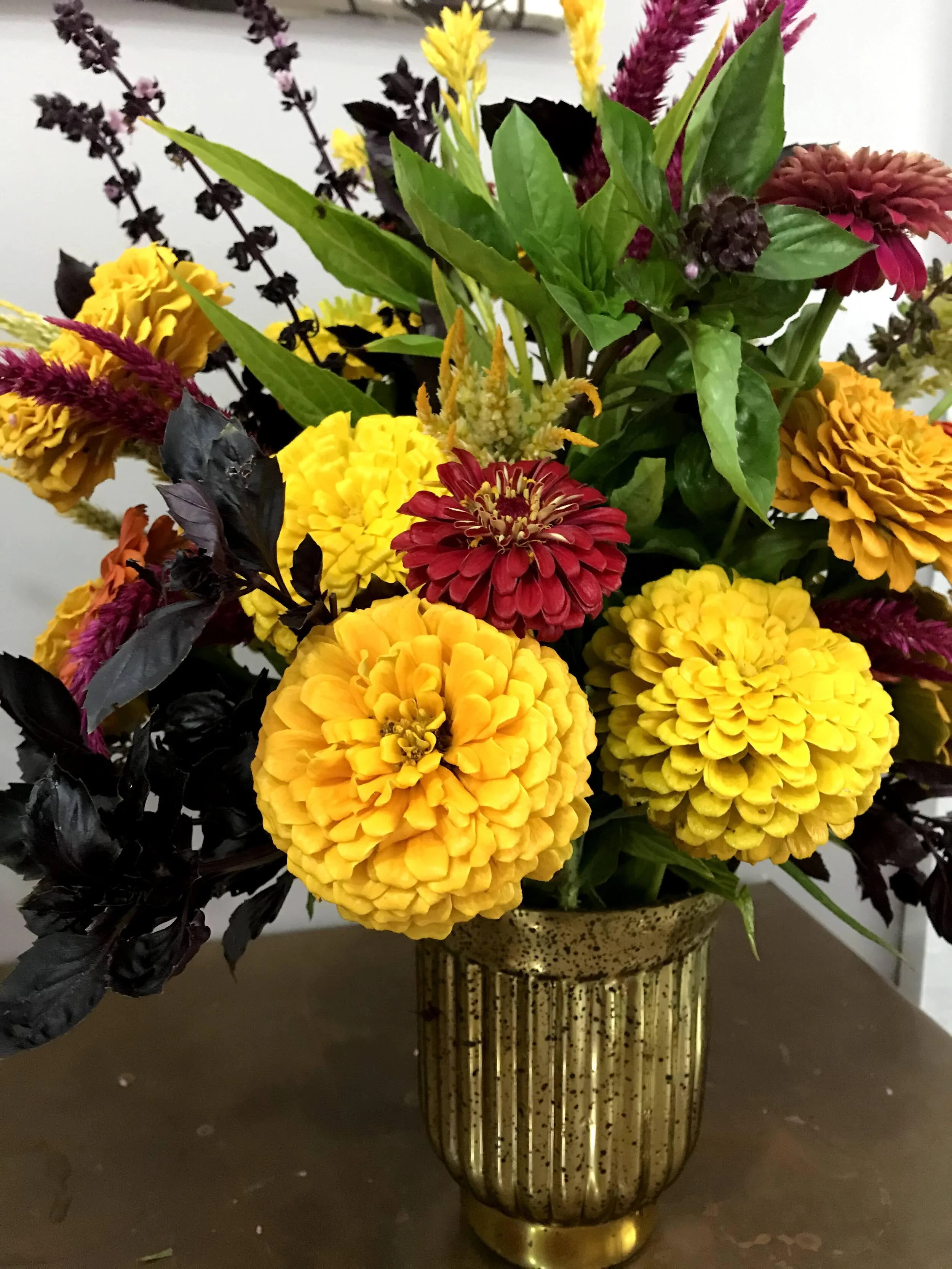 Gallery — Prairie Field