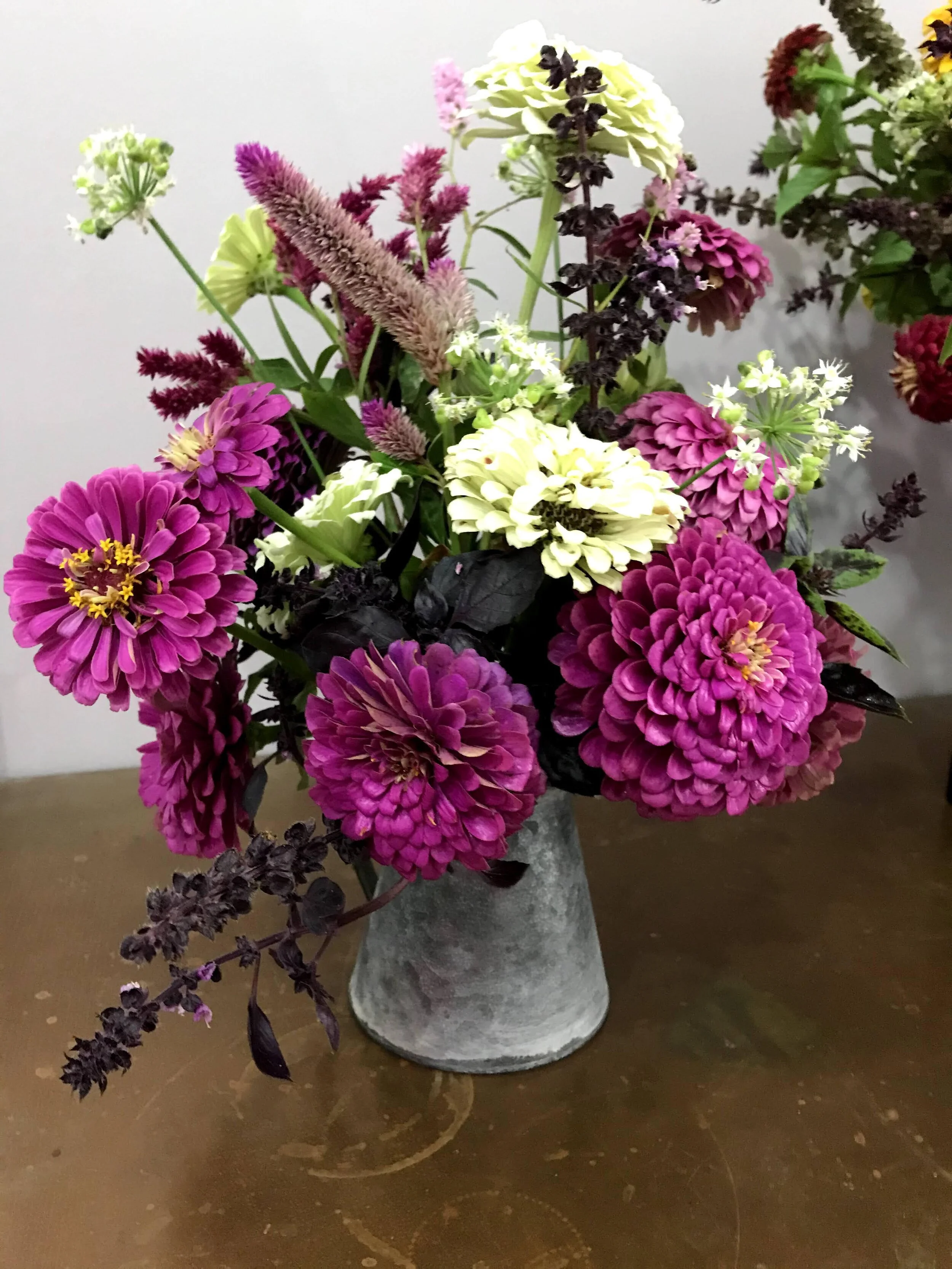 Gallery — Prairie Field