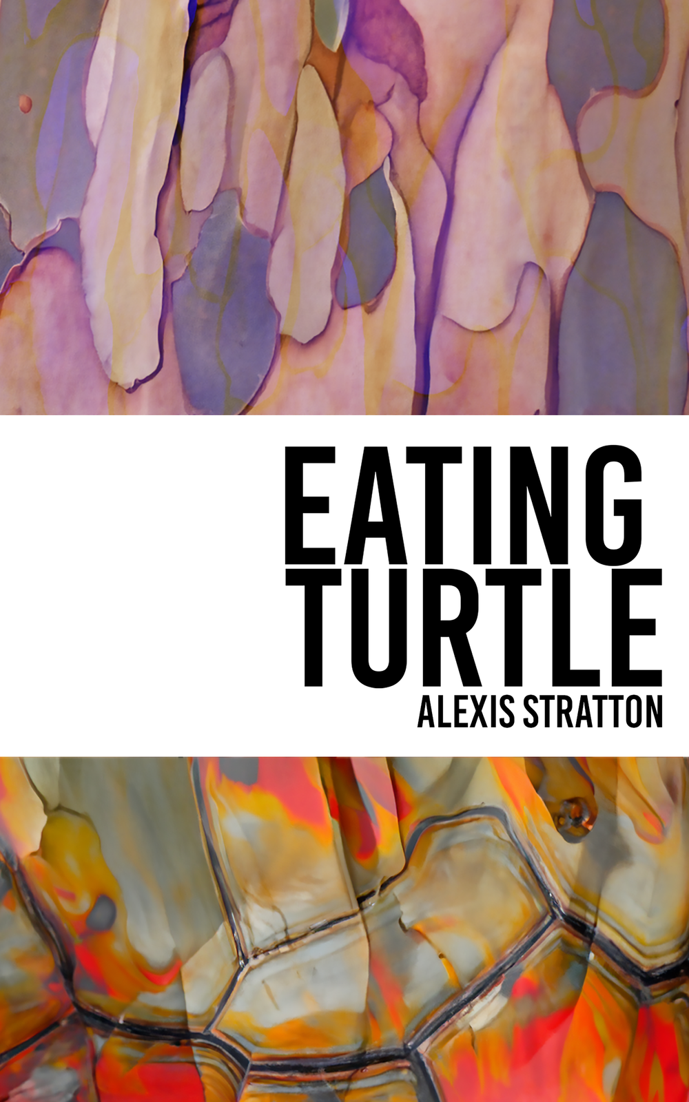 Eating Turtle by Alexis Stratton — Small Harbor Publishing