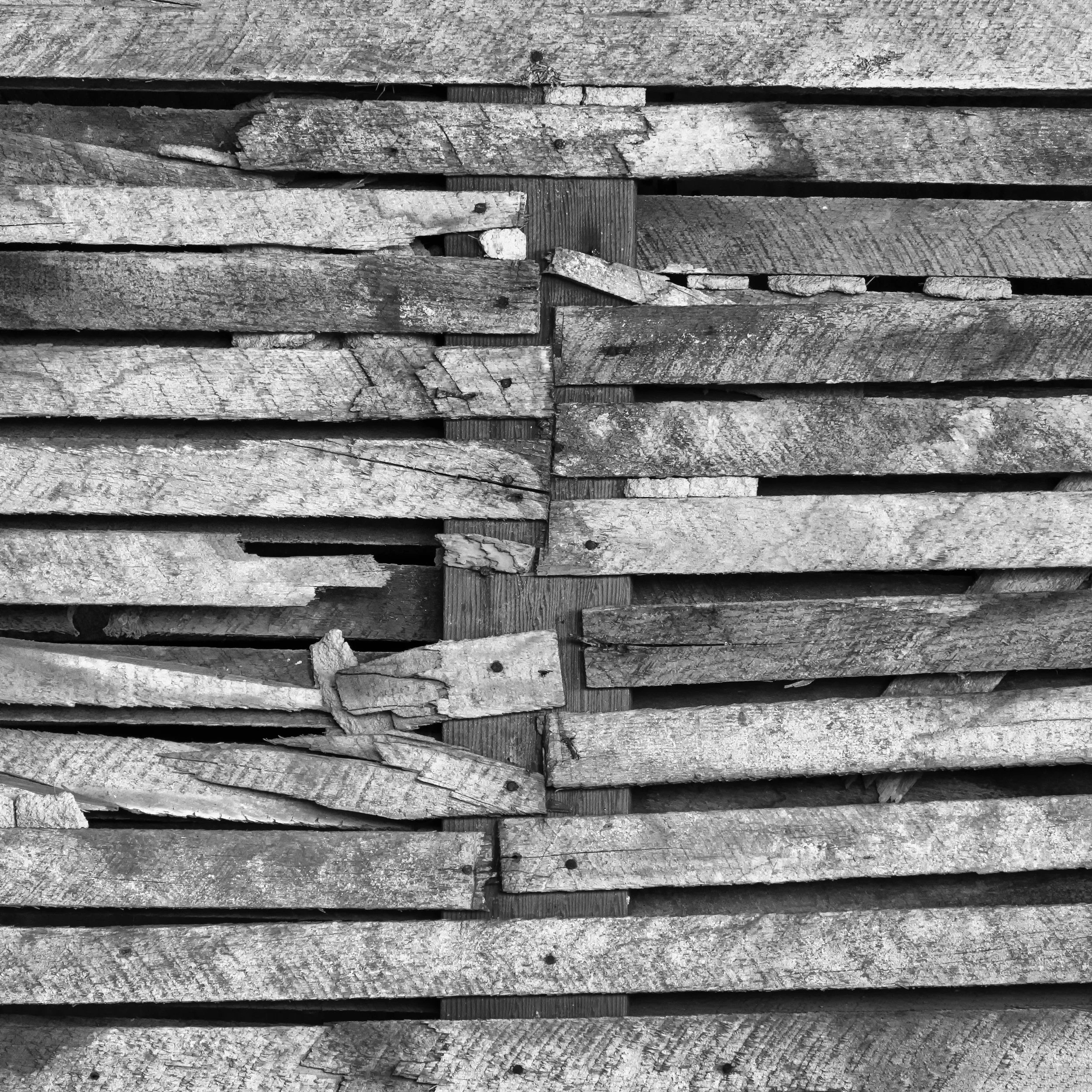 Arthur Ransome Photography