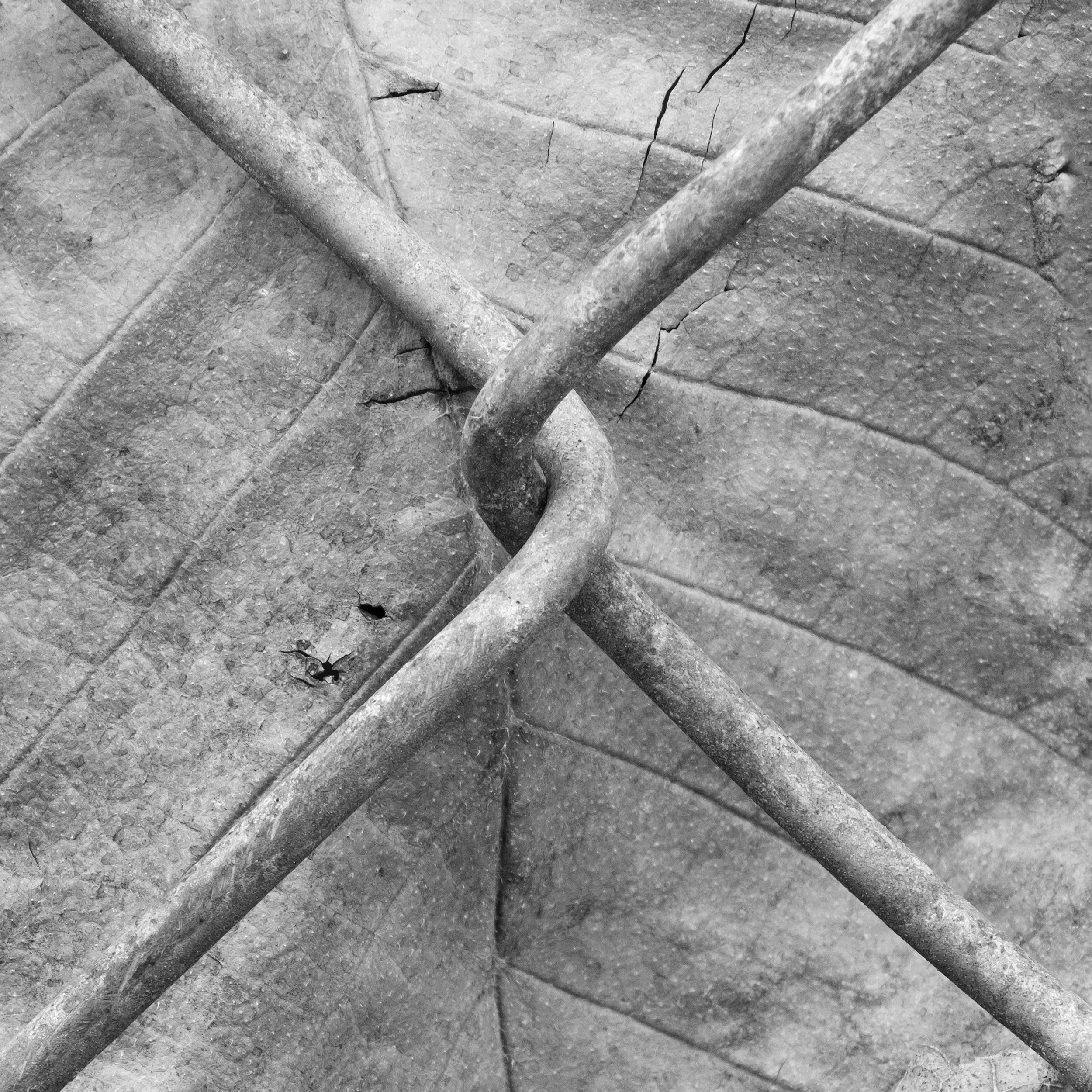 Arthur Ransome Photography