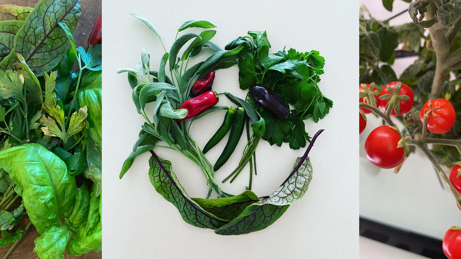 Indoor Growing Systems | Aeroponic Home Indoor Farming | Grobrix