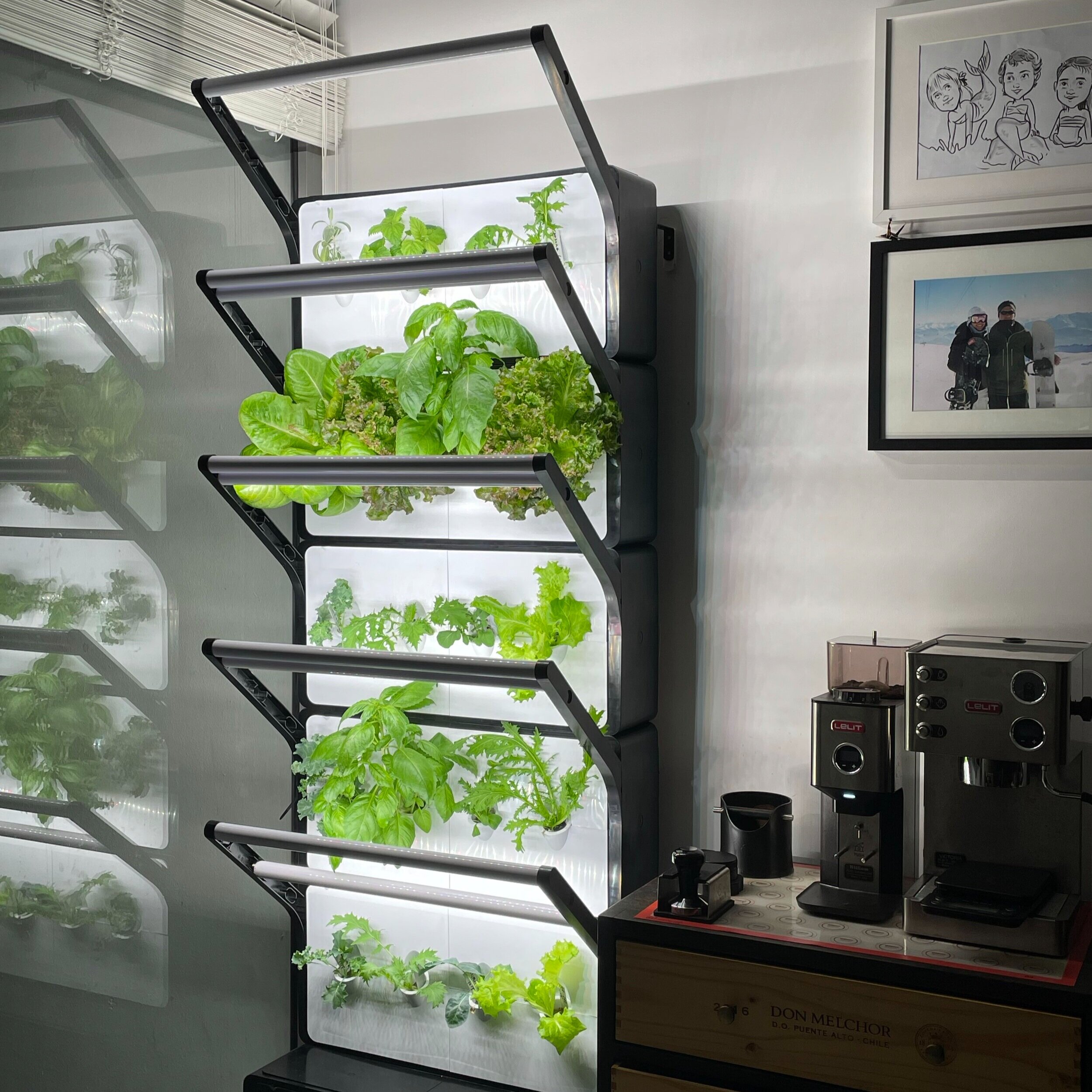 Buy Vertical Farming System | Indoor Grow Setup for Sale | grobrix