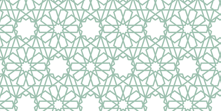 Moonlight Express by Monisha Rajesh — West End Lane Books