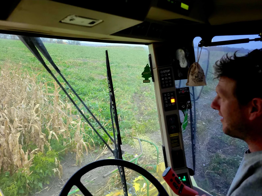 Full Season Cover: Silage Tips — A Plant Diversity Company