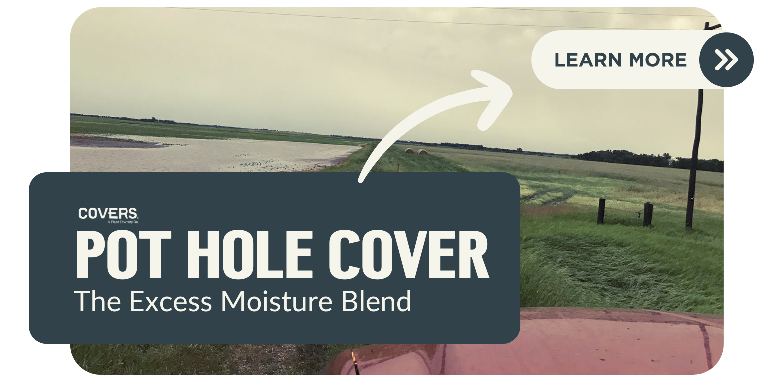 Annual Blends — A Plant Diversity Company