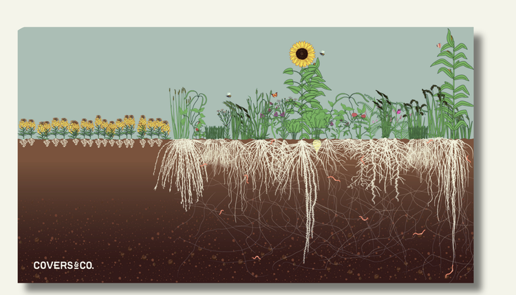 All Blends — A Plant Diversity Company