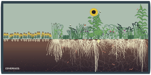 Farmer — A Plant Diversity Company