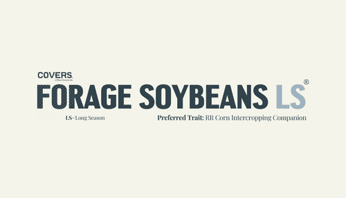Forage Soybeans LS — A Plant Diversity Company