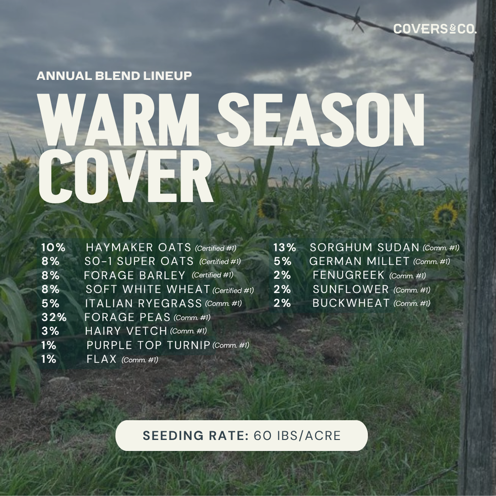 Warm Season Cover — A Plant Diversity Company
