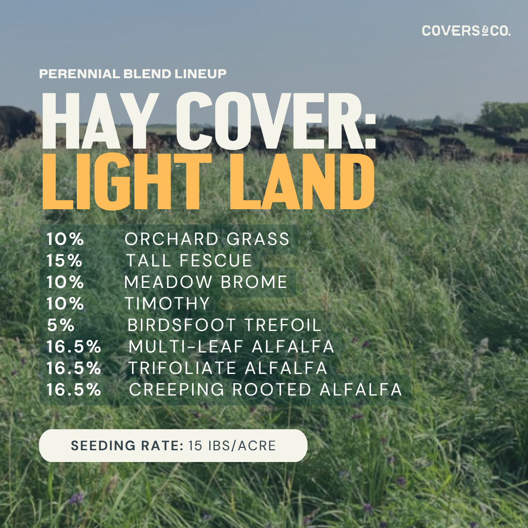 Perennial Hay Cover: Light Land — A Plant Diversity Company