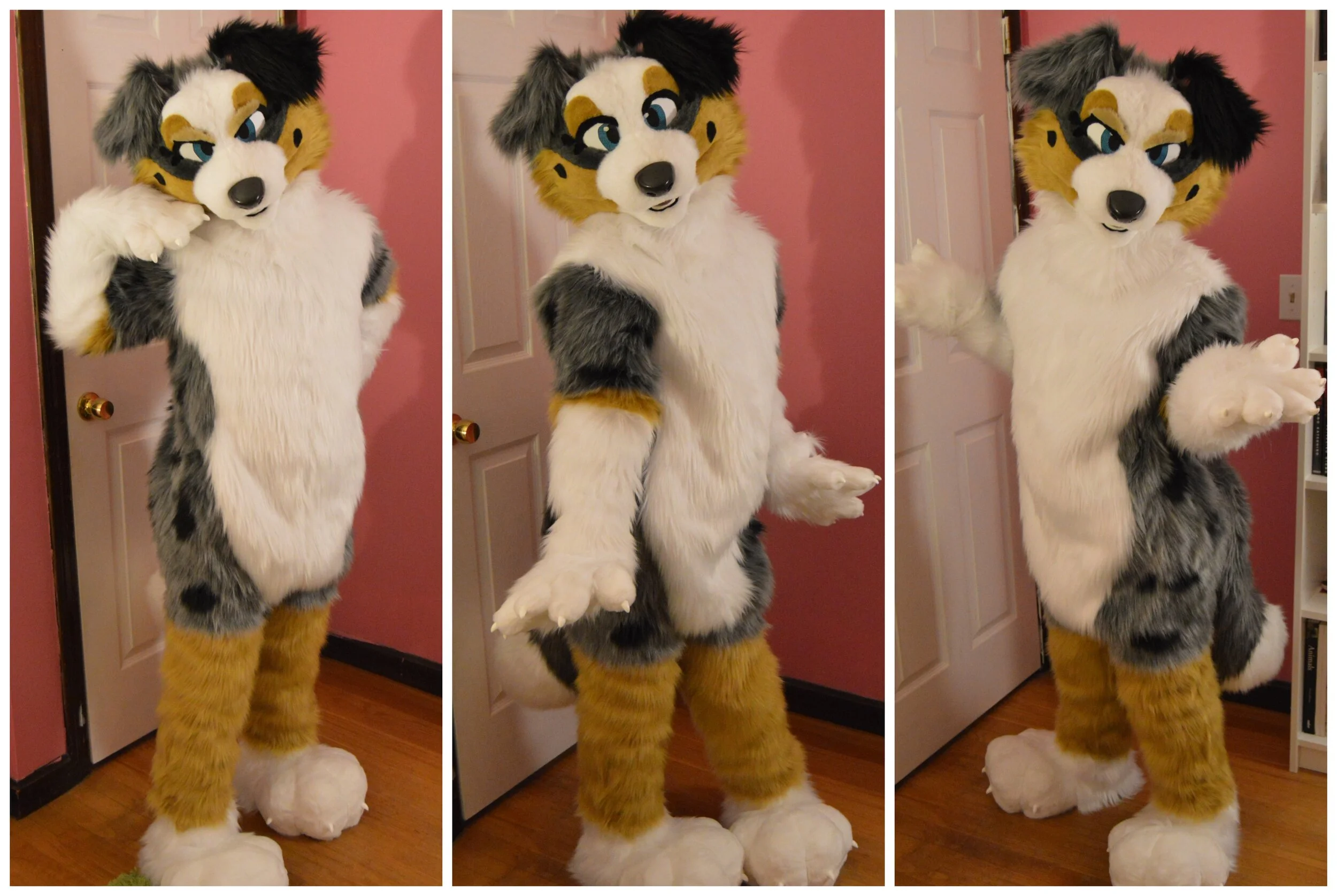 Domesticated Dogs — Sarahcat Fursuits