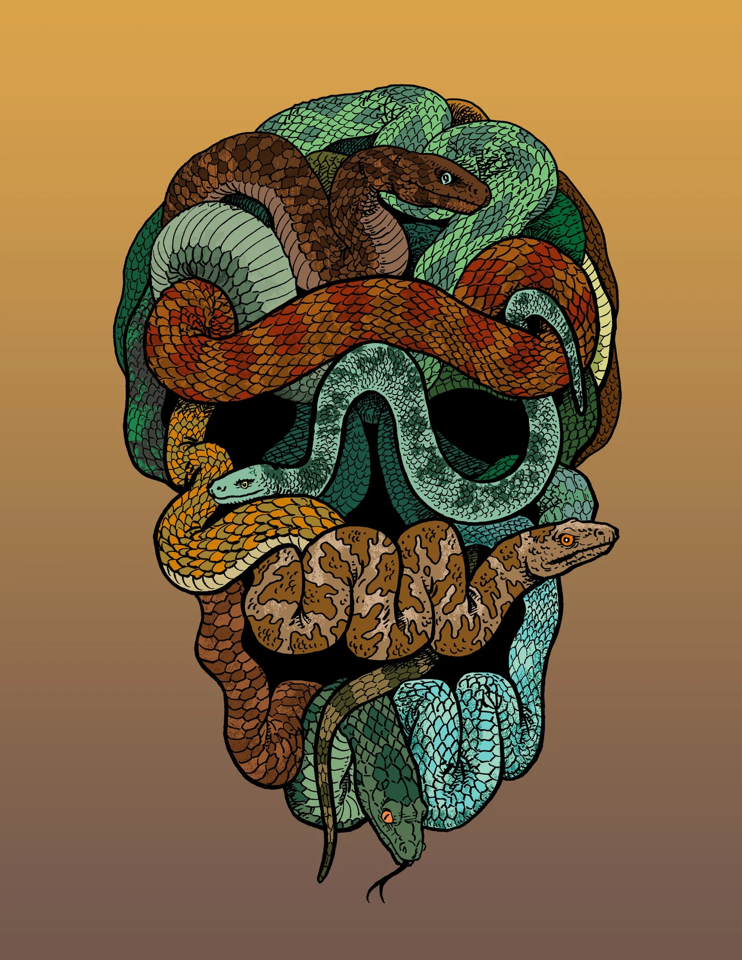 DREW MORRISON