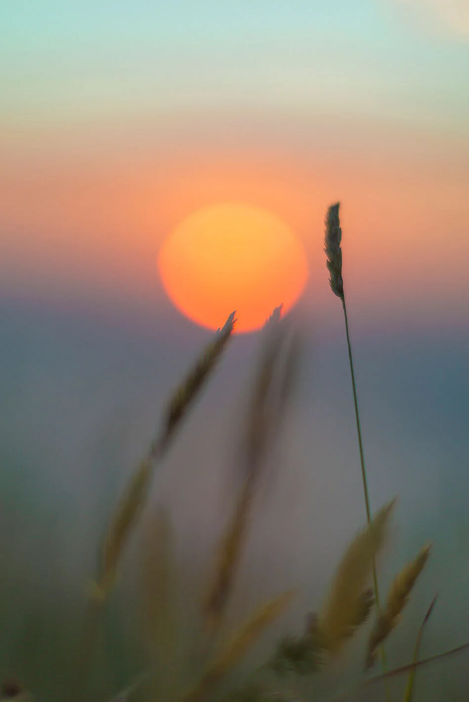 Open Print Collection — Damon Meade Studio