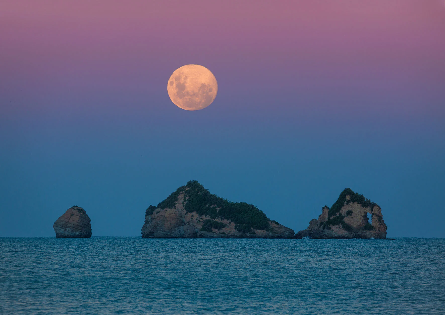 Open Print Collection — Damon Meade Studio