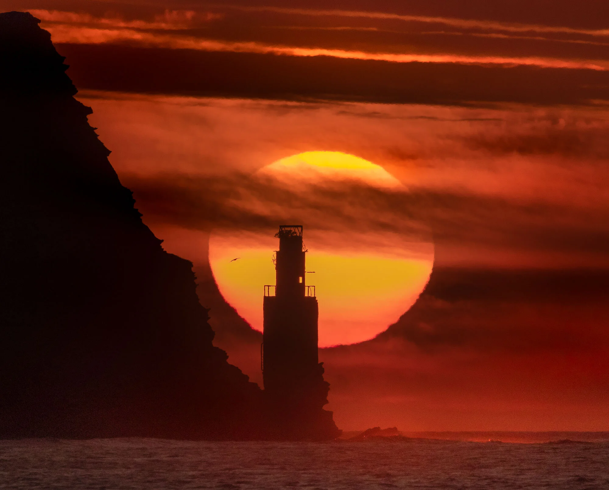 Open Print Collection — Damon Meade Studio