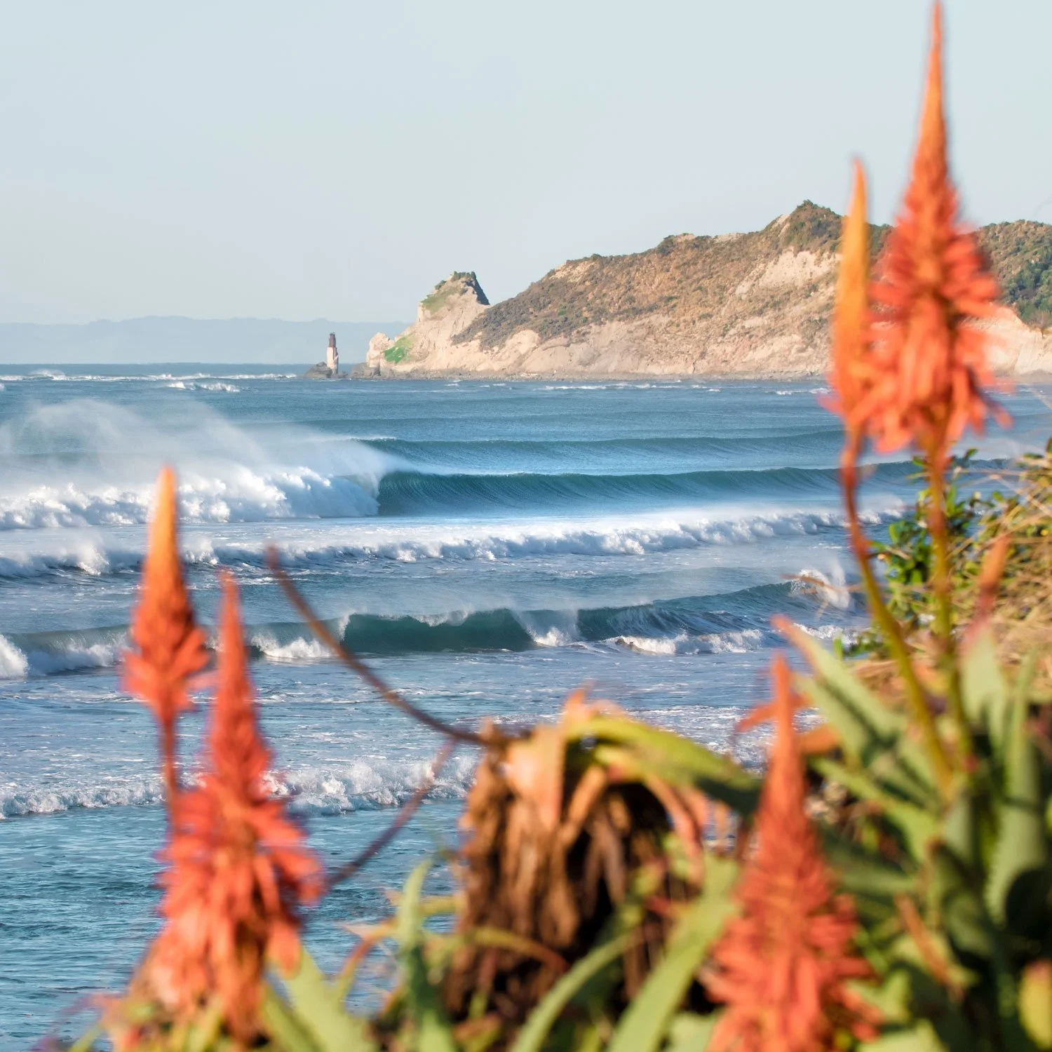 Open Print Collection — Damon Meade Studio