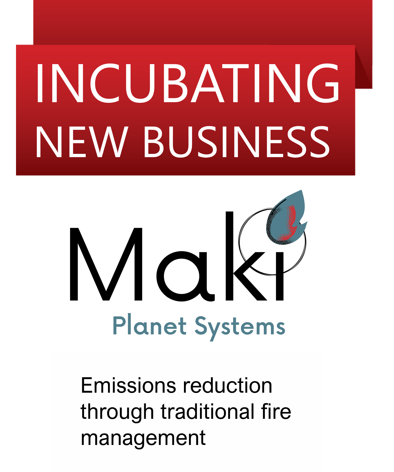 Maki Planet Systems — Corporate Carbon