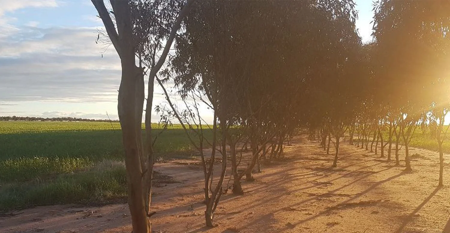 News — Corporate Carbon