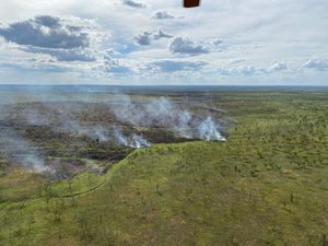 Ban Ban Springs Station — Corporate Carbon