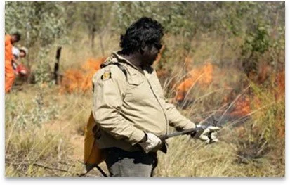 Wilinggin Fire Project — Corporate Carbon