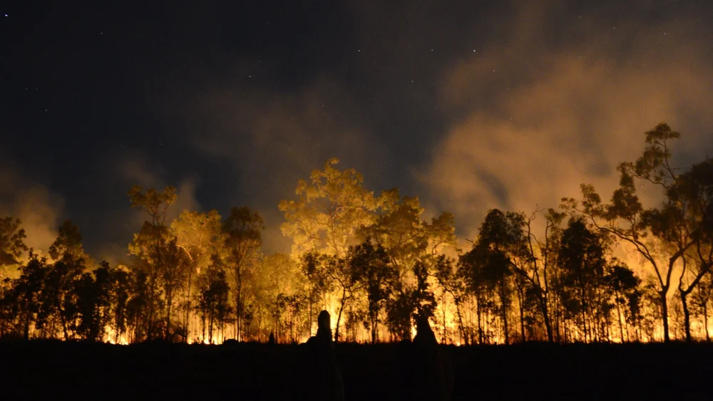 Maki Planet Systems — Corporate Carbon