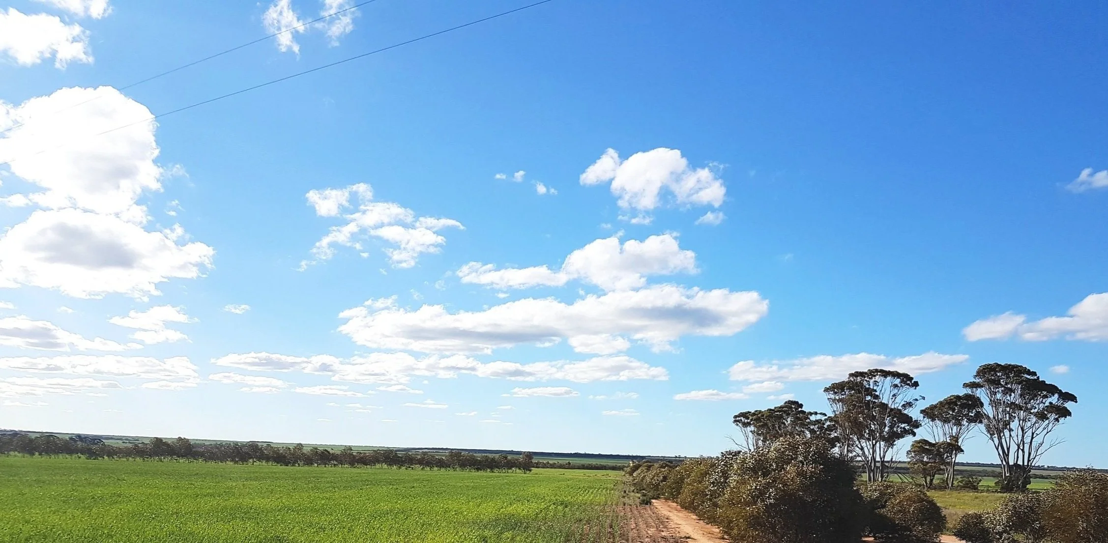 Our team - Matthew Warnken — Corporate Carbon