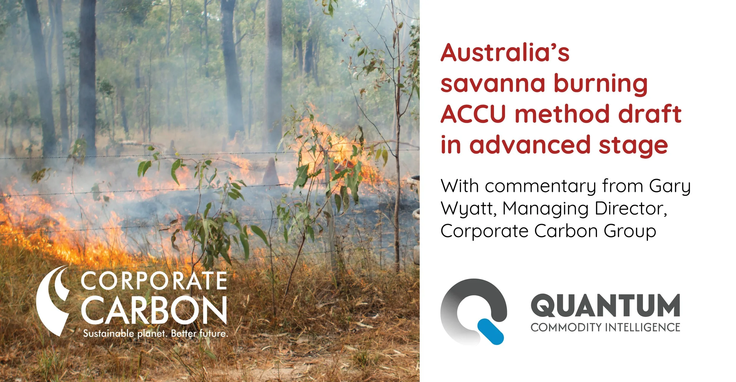 New savanna fire management methods near next stage of development — Corporate Carbon