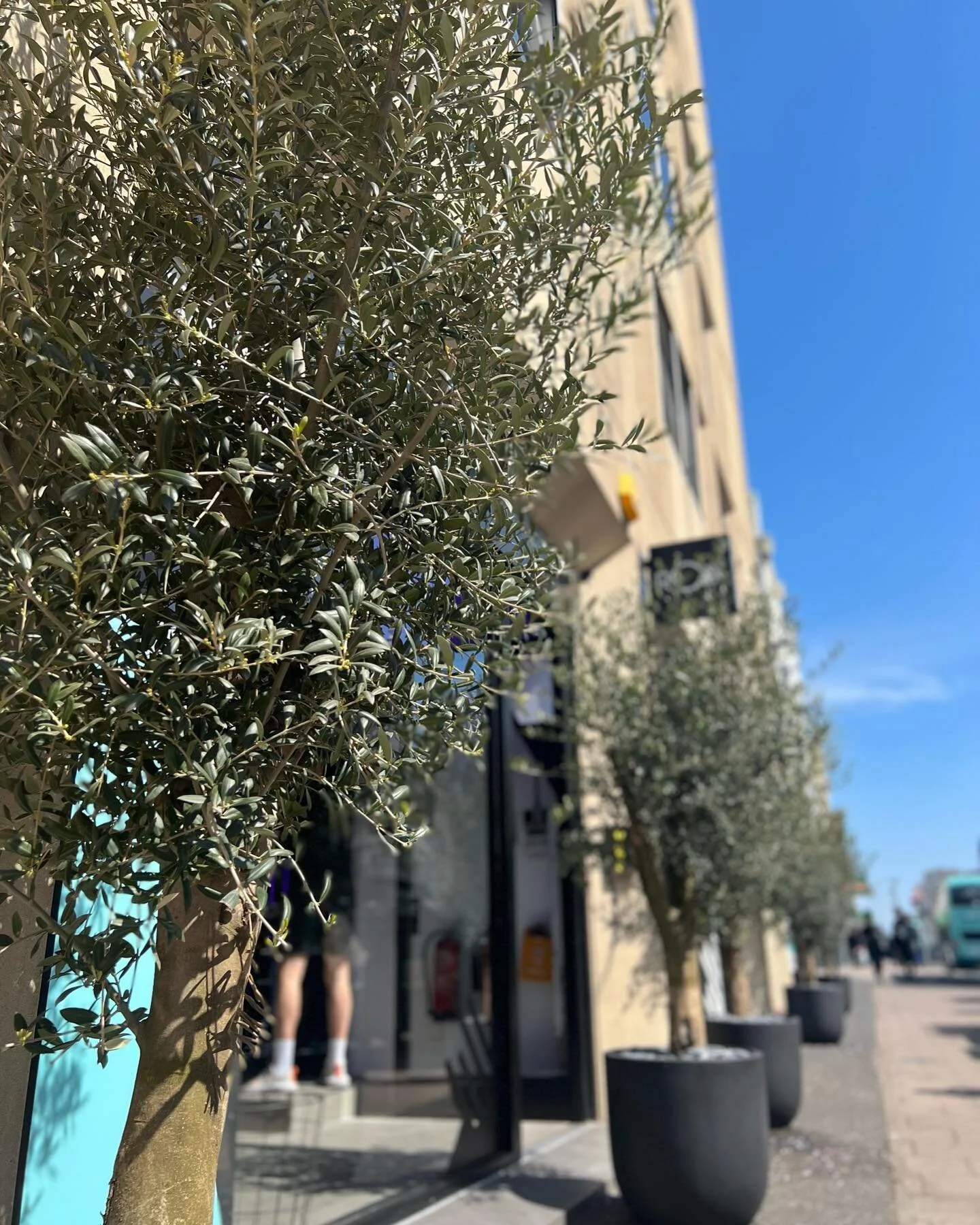 ROXLIFE | Brighton studio workouts that aim to inspire