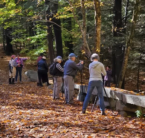 What we do — First Light Camera Club