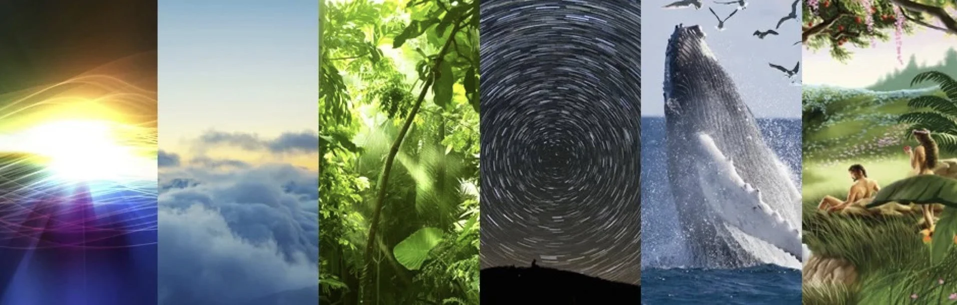 Interpreting Genesis 1 — The Reformed Classicalist